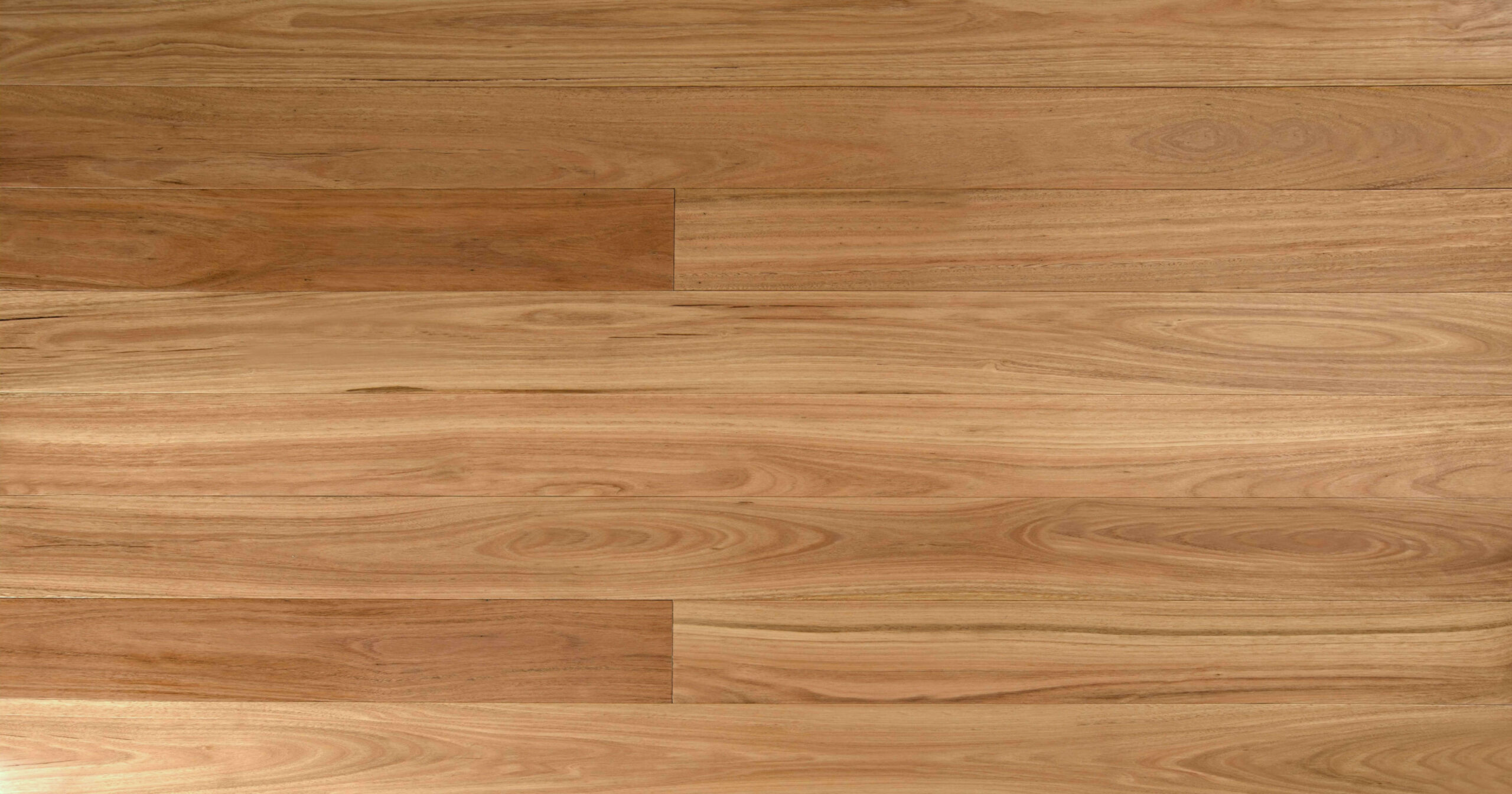 Buy Blackbutt 18mm Solid Australian Timber Flooring | Flooring Works