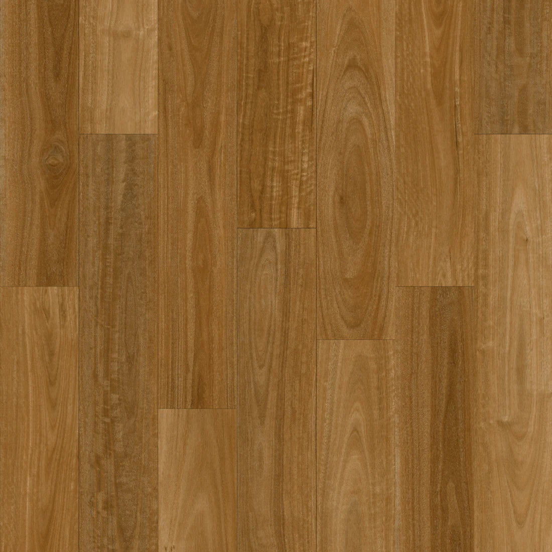 Spotted Gum 5mm Pro Vinyl Flooring | Flooring Works